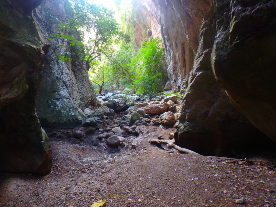 Gorge walk on Crete (10)